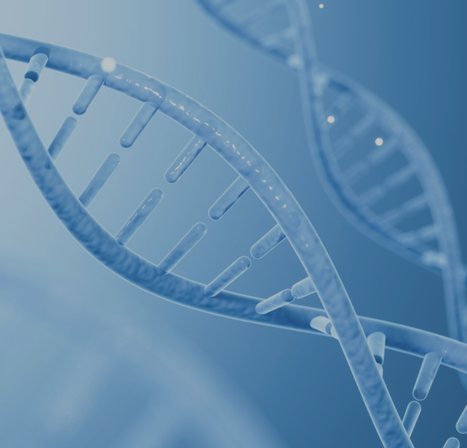 上海掘谜生物科技有限公司