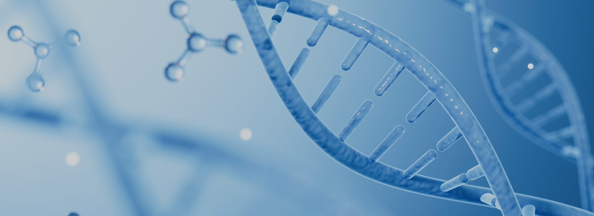 关于我们 - 上海掘谜生物科技有限公司